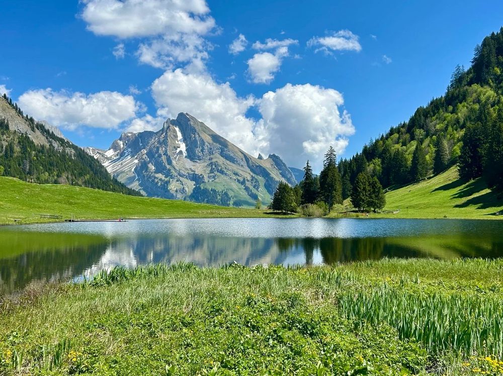 Gräppelensee/Schafberg im Toggenburg,75 cm breit x60 cm hoch (Gebraucht ...