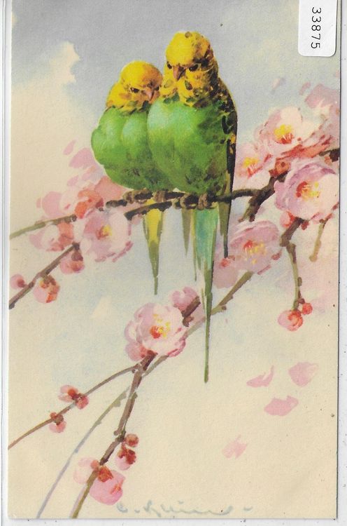 Catharina Klein - Zwei Wellensittich - Litho (Gebraucht) in Ettingen für CHF 2 – mit Lieferung ...