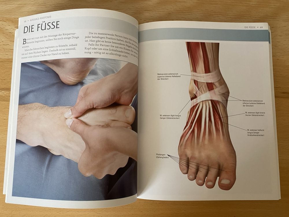 Massage Anatomie - Abby Ellsworth/Peggy Altman | Kaufen auf Ricardo