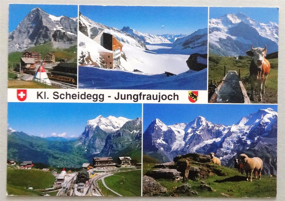 Kleine Scheidegg - Jungfraujoch | Kaufen auf Ricardo