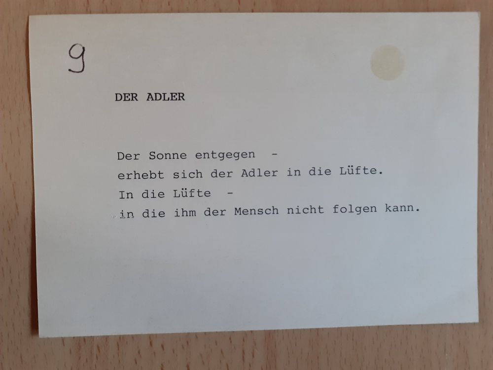 Original Bild v. Pia Brodmann "Der Adler" signiert 1991 (Gebraucht) in ...