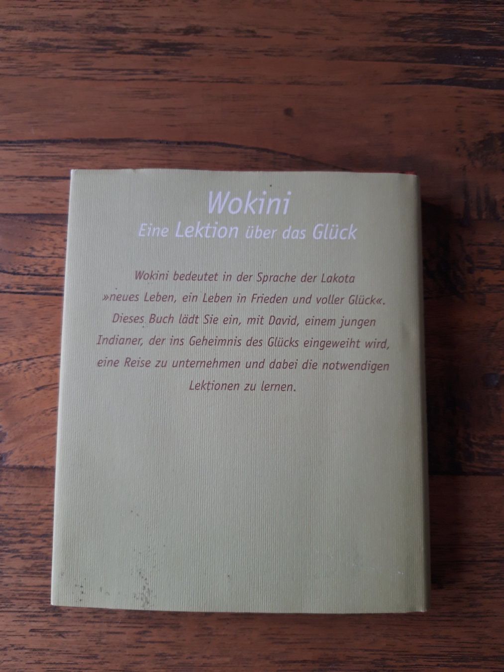 Nicholas Sparks Wokini Indianer die Suche nach Glück (Gebraucht) in ...