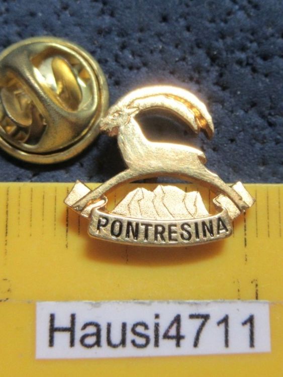 PONTRESINA STEINBOCK GRAUBÜNDEN SCHMUCK-PIN GOLDIG KLEIN | Kaufen auf Ricardo
