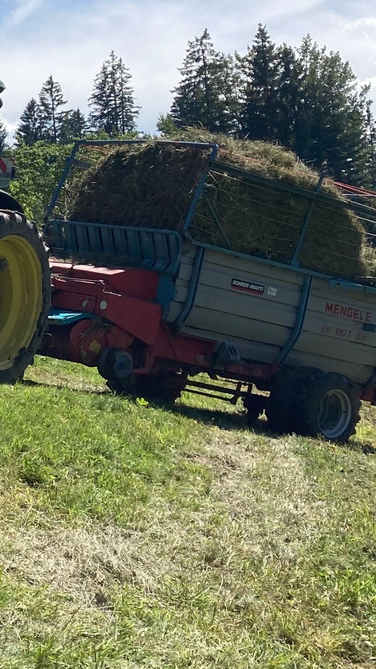 Ladewagen Mengele LW180TDuo (Gebraucht) in Oeschseite für CHF 2000 – nur Abholung auf Ricardo kaufen