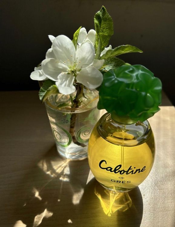 New Cabotine de Grès 100ml Eau de Parfum für Damen | Kaufen auf Ricardo