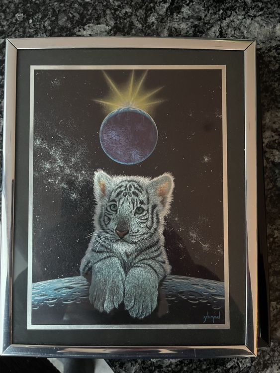 Gerahmtes Bild: Junger Tiger im Weltraum, Top Zustand! (Neu (gemäss ...