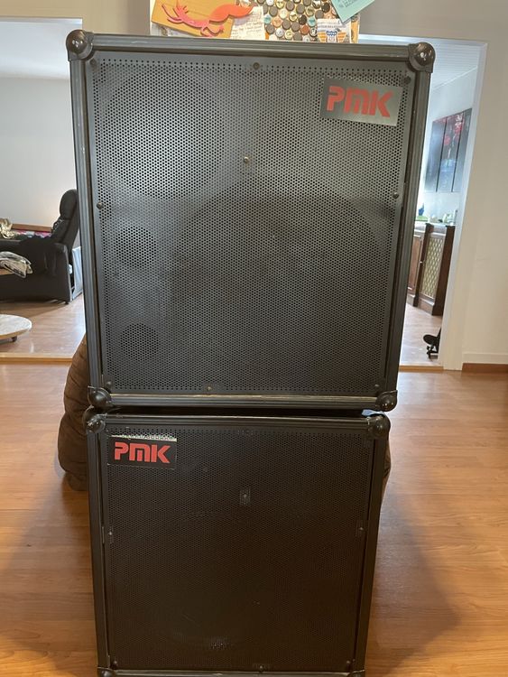 PMK Passiv PA | Kaufen auf Ricardo