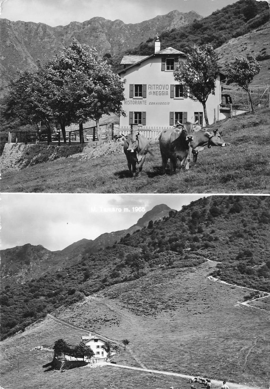 Alpe di Neggia Monte Tamaro TI Ritrovo G (Usato) a Biasca per CHF 7 ...