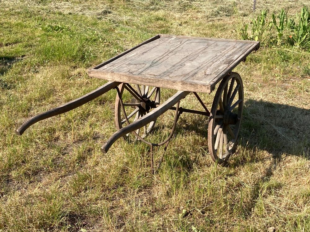 Brückenwagen / Handkarren (Gebraucht) in Neuenhof für CHF 55 – nur ...