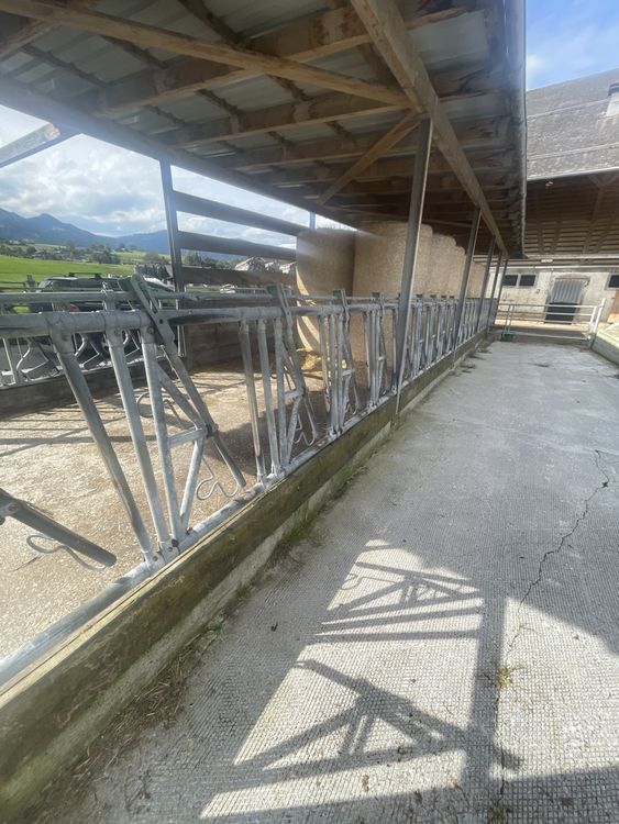 Stalleinrichtung (Gebraucht) in Uebeschi für CHF 2000 – nur Abholung auf Ricardo kaufen