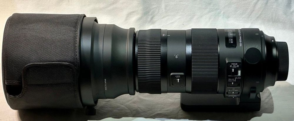 Sigma 150-600mm F5-6.3 DG Ø 105 Sport für Nikon F (D'occasion) à ...