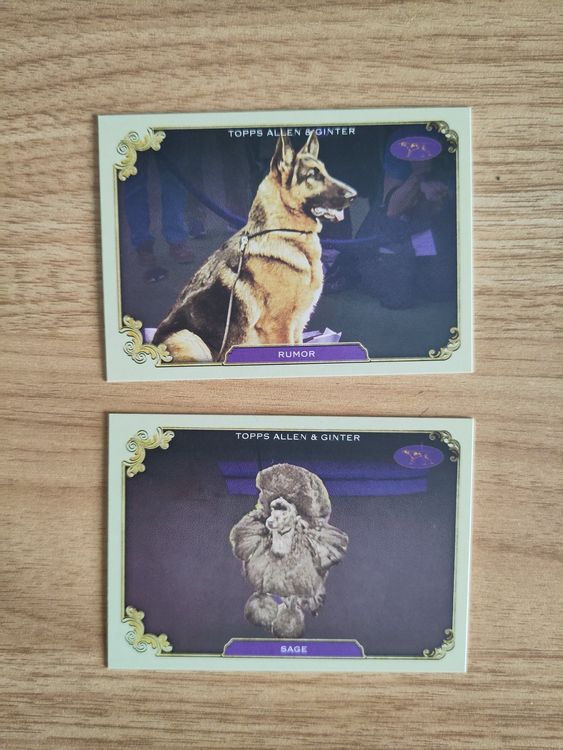 2x Stars of the Show Karten Topps Allen & Ginter 2024 (Neu (gemäss ...