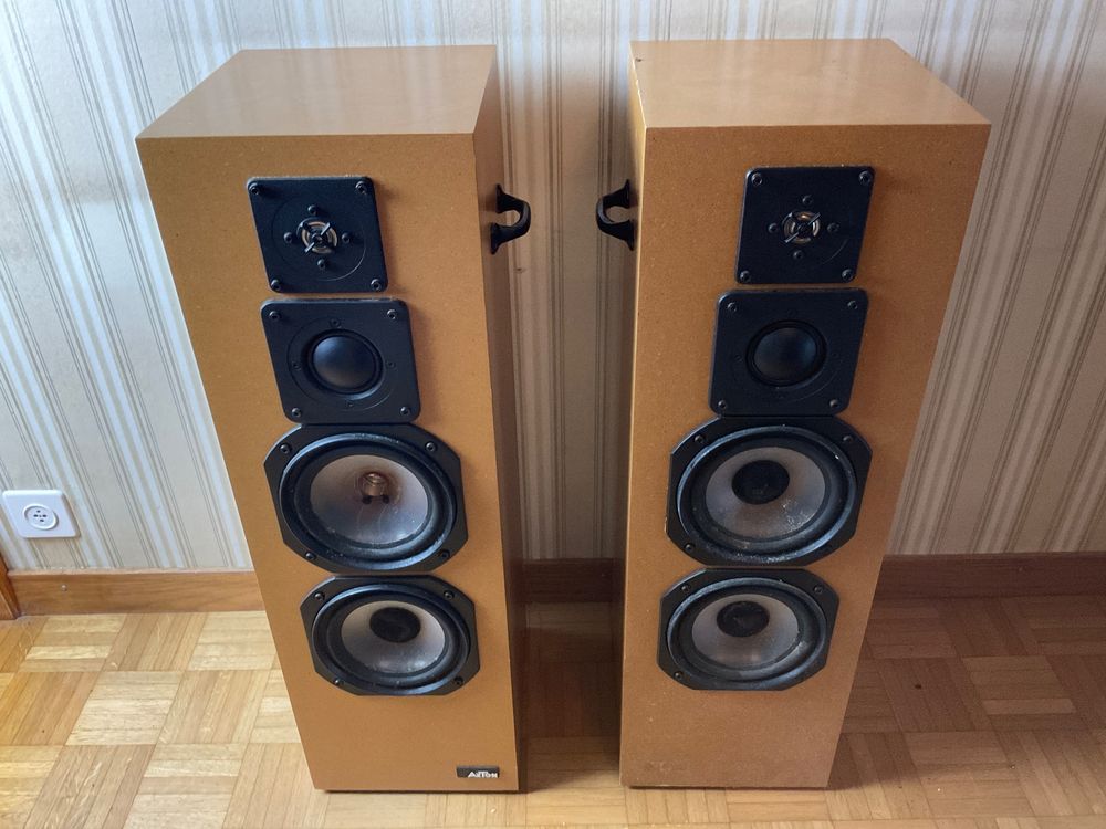 Axton Standlautsprecher defekt Chassis müssen ersetzt werden (Defekt ...