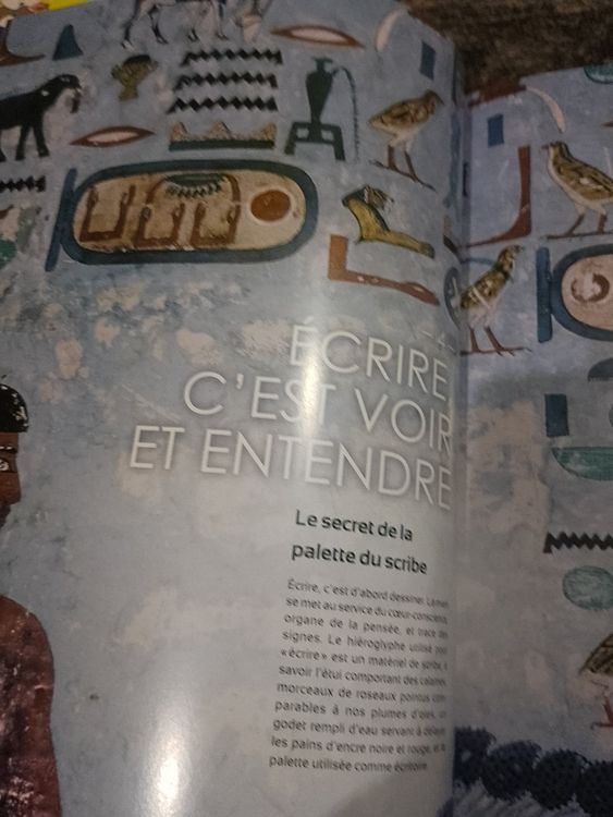 Le mystère des hieroglyphes La clé de l'Egypte ancienne (Gebraucht) in ...