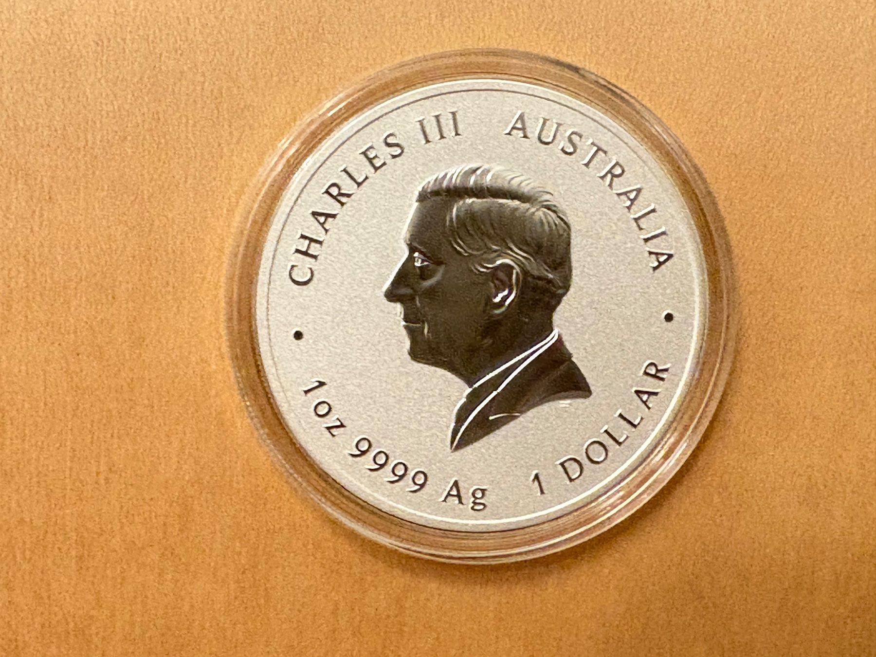 1 OZ COLOR Australien Lunar Serie III - Schlange 2025 (Neu und ...