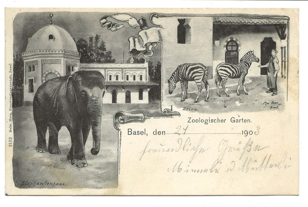 Basel - Stadt - Zoologischer Garten - Elephantenhaus - 1903 | Kaufen auf Ricardo