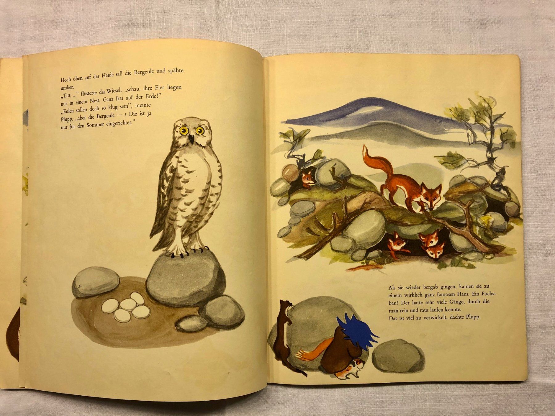 Bilderbuch " Plupp und das Wiesel" von Inga Grubbström (Gebraucht) in ...