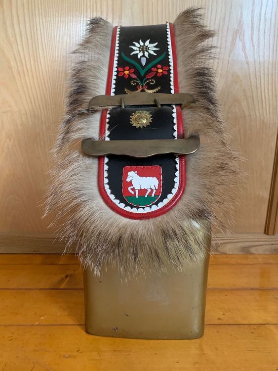 Treichel mit Dachshaarriemen, Marty Wappen, gestickt (Neu (gemäss ...