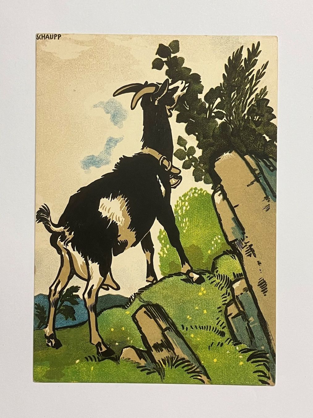 origin. Monokarte UTO Bierbrauerei am Uetliberg 1906, Zürich (Gebraucht ...