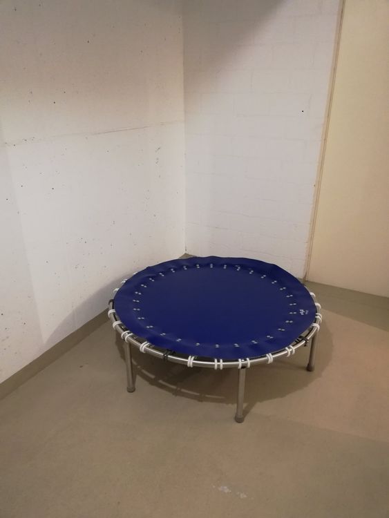 SWEM Trampolin (Gebraucht) in für CHF 2 – nur Abholung auf Ricardo kaufen