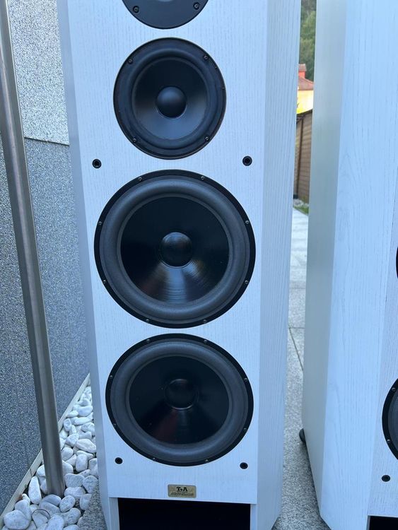T+A criterion TMR 160 High End Lautsprecher (Gebraucht) in Trimbach für ...