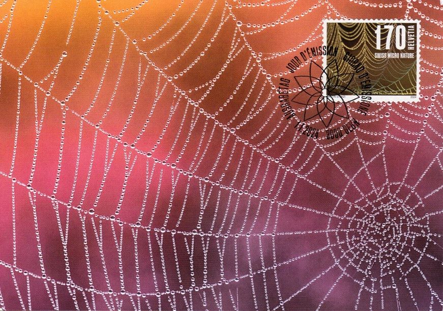 Maximumkarte Naturmuster - Spinnennetz (Neu (gemäss Beschreibung)) in Dottikon für CHF 4.5 – mit ...