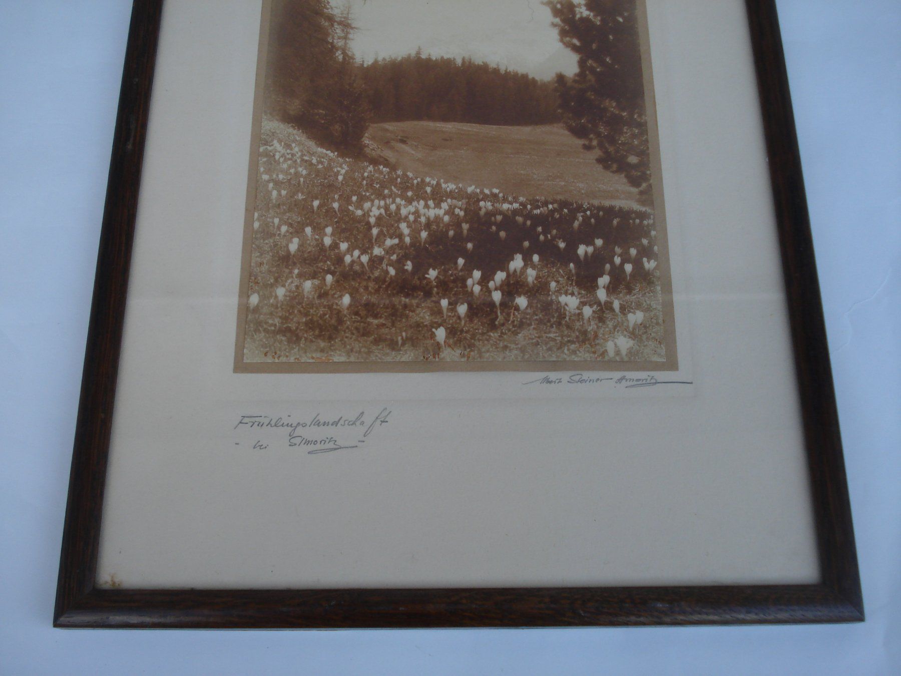 Albert Steiner 1877-1965 (Gebraucht) in Basel für CHF 1700 – nur Abholung auf Ricardo kaufen