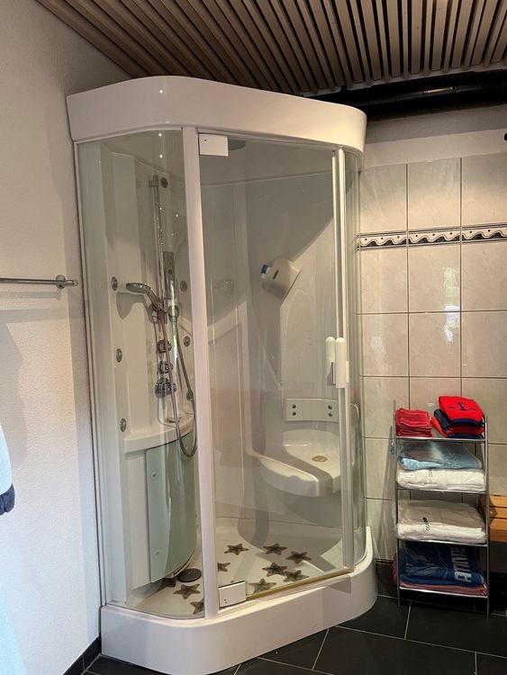 Dampfdusche Pharo Hans Grohe | Kaufen auf Ricardo