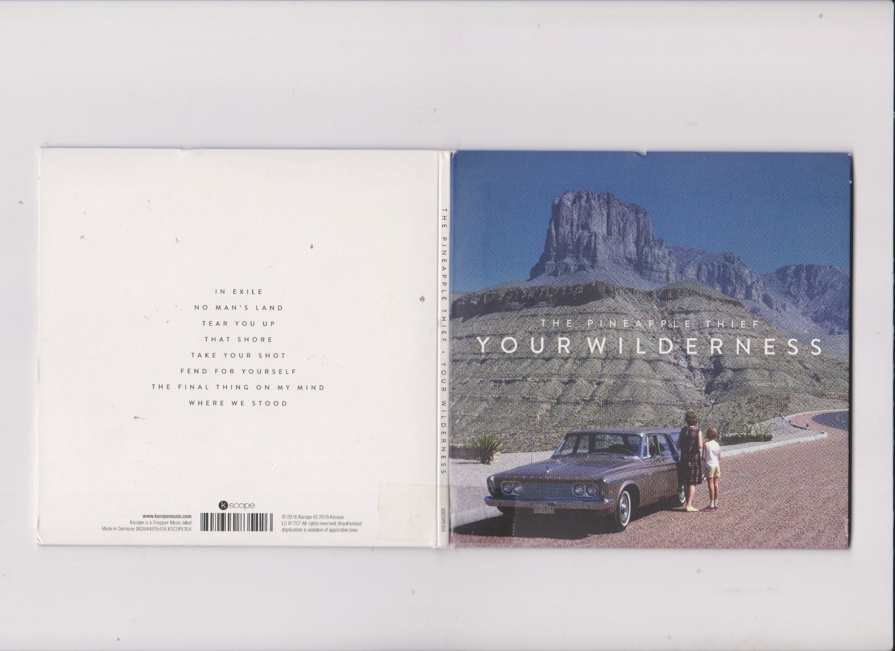 The Pineapple Thief – Your Wilderness CD (D'occasion) à Bex pour CHF 2 ...