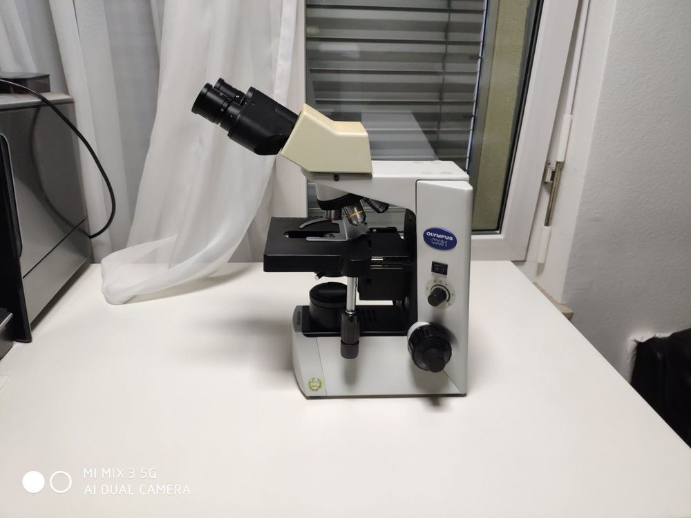 OLYMPUS CX31 Microscope | Kaufen auf Ricardo