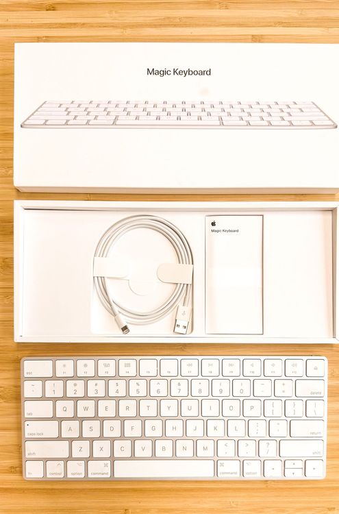 Apple Magic Keyboard - US engl. QWERTY - Model: MLA22LL/A (Gebraucht ...