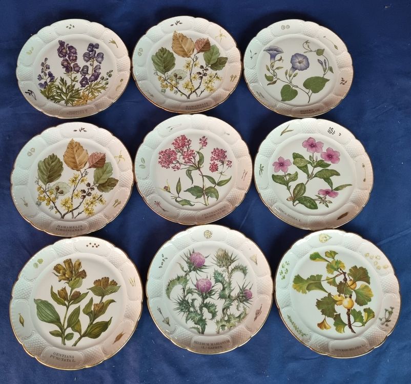 SIEGEFRIED MCMLVII LANGENTHAL 9 STÜCK 22cm (Neu (gemäss Beschreibung ...