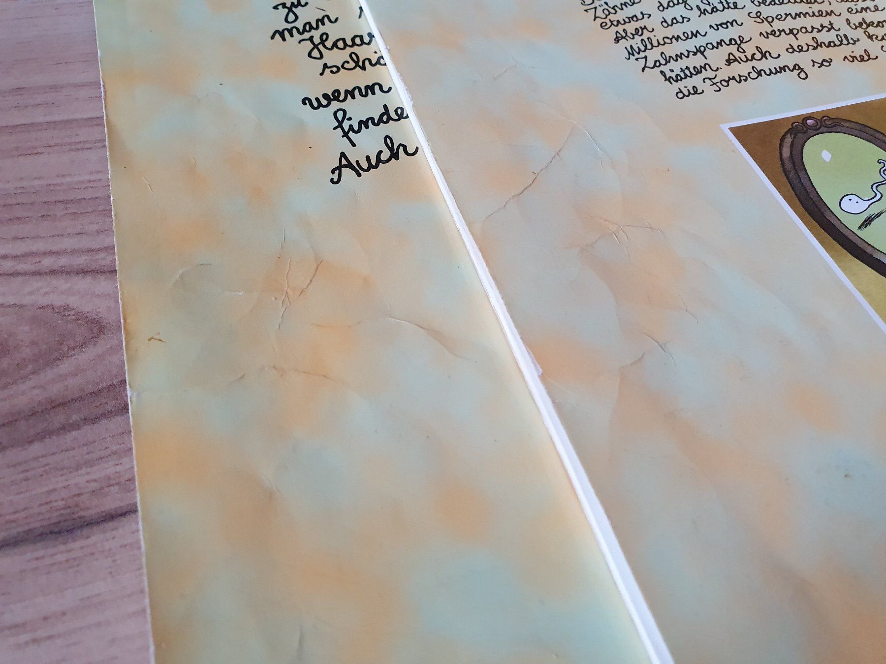 Titeuf Comic Sammlung, 6 Bände, ZEP! (Gebraucht) in Worb für CHF 48 ...