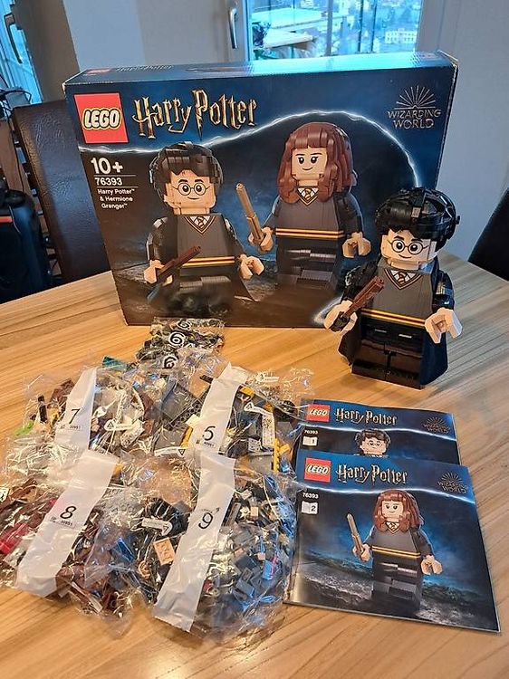 LEGO 76393 Harry Potter und Hermione Granger (Gebraucht) in Lutzenberg ...