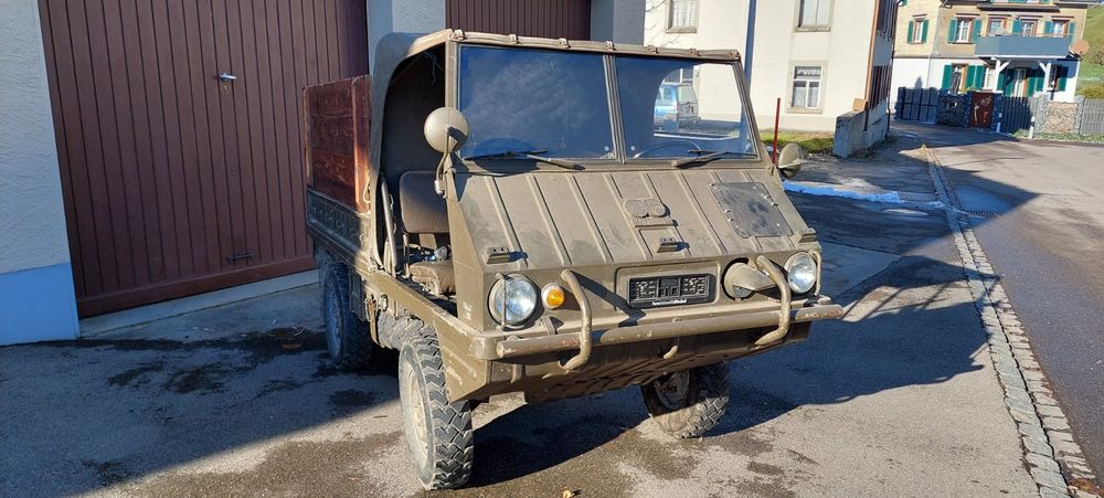 Steyr Puch HAFLINGER (Gebraucht) in Bütschwil für CHF 11880 – nur Abholung auf Ricardo kaufen