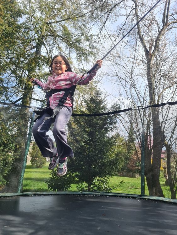 Bungy Trampolin neu original verpackt, bis 100 Kg (Neu und originalverpackt) in Balsthal für CHF ...