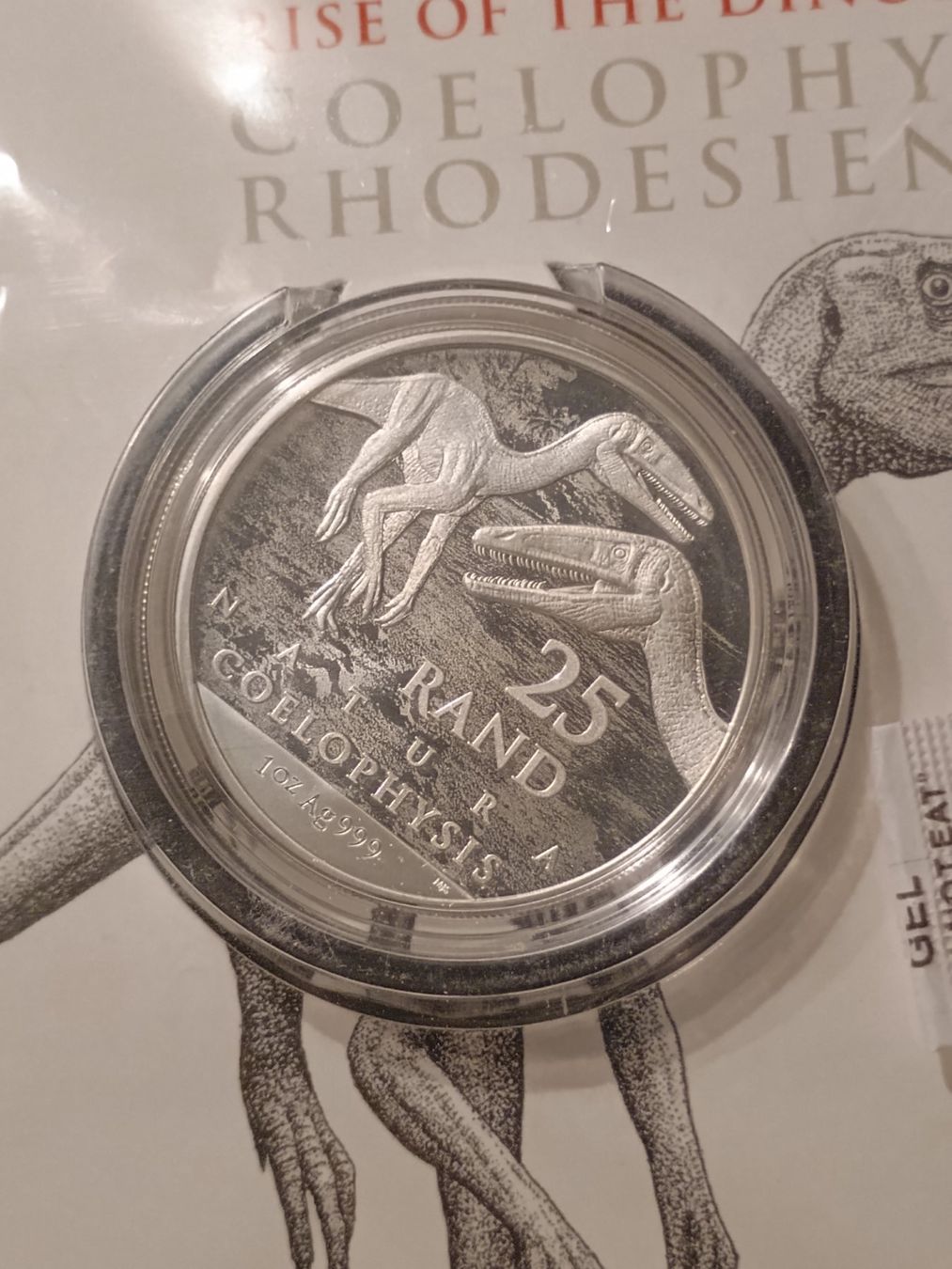 2× 1Unze Silbermünze, 25 Rand 2019/2020 Dinos, Silber 999 (Neu und ...