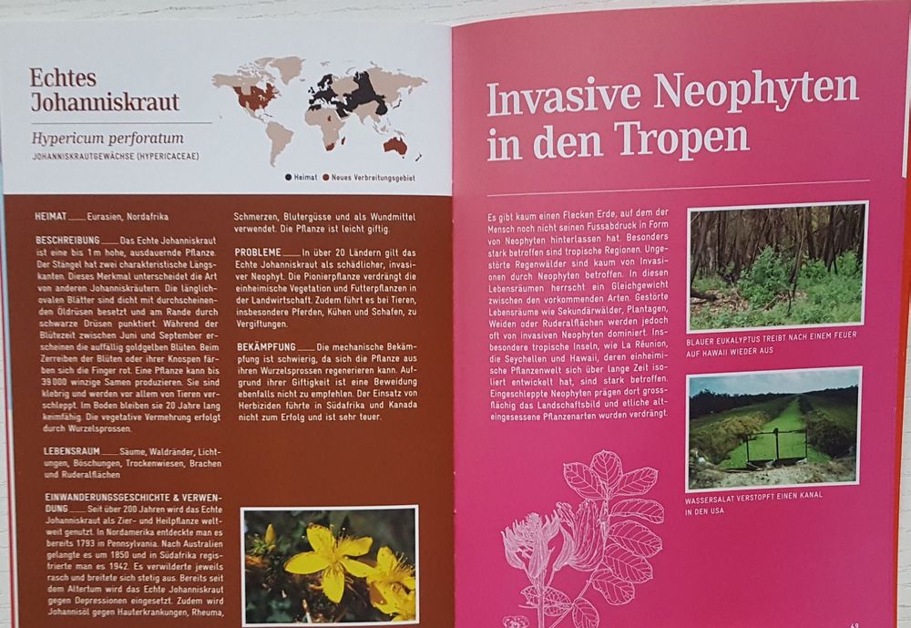 Problem der invasiven Neophyten (Botanischer Garten Bern) (Gebraucht ...