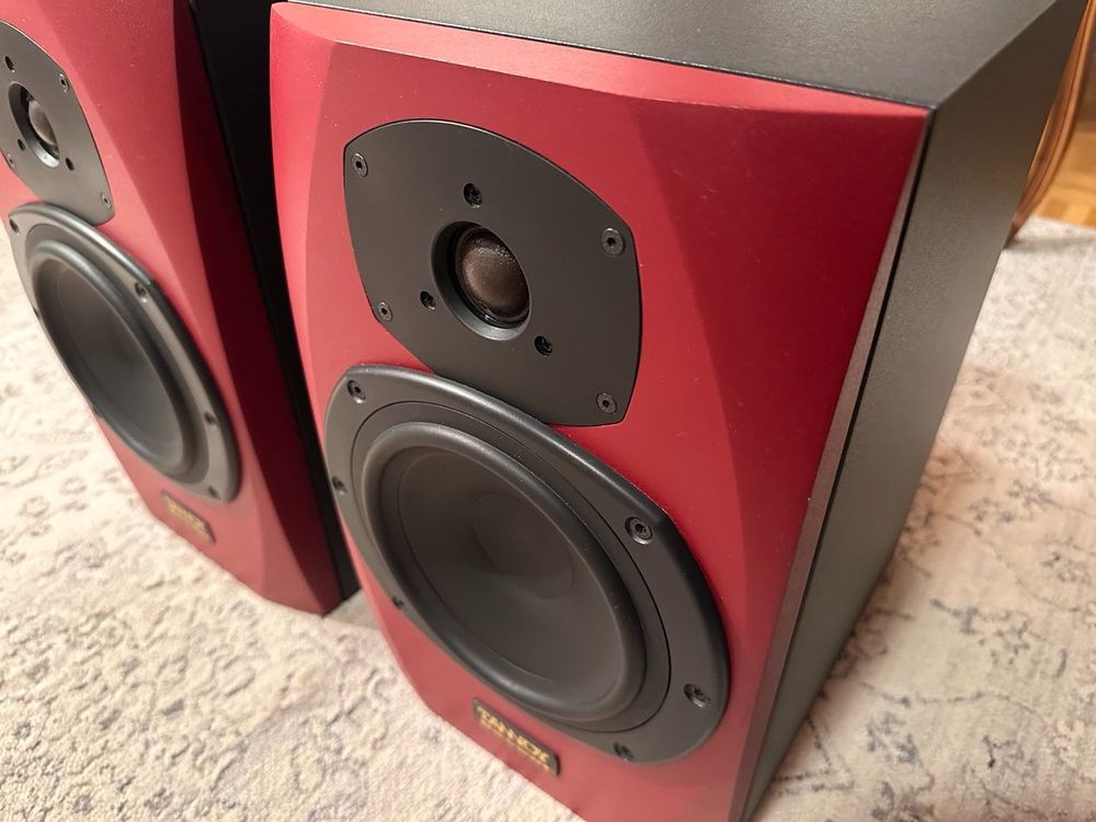 Tannoy Reveal - Britische Hi-Fi-Ikone der 90er, Studio (Gebraucht) in ...