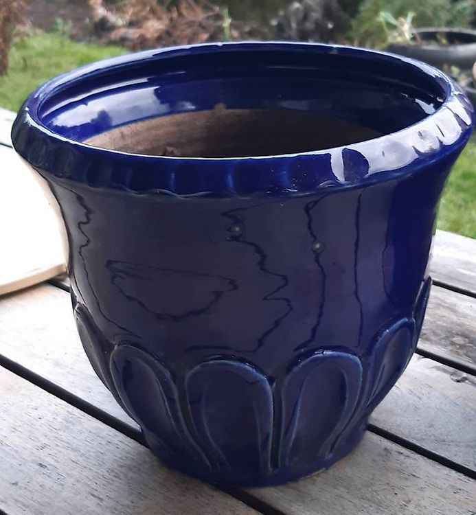 Pflanz-Topf 19x20 (Gebraucht) in Niederlenz für CHF 5 – nur Abholung ...