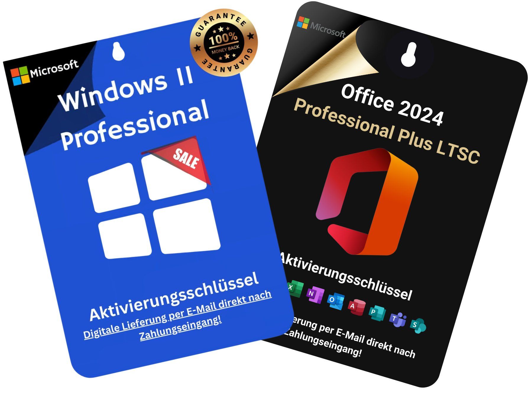 Microsoft Windows 11 Pro & Office 2024 LTSC Pro Plus (Gebraucht) in ...