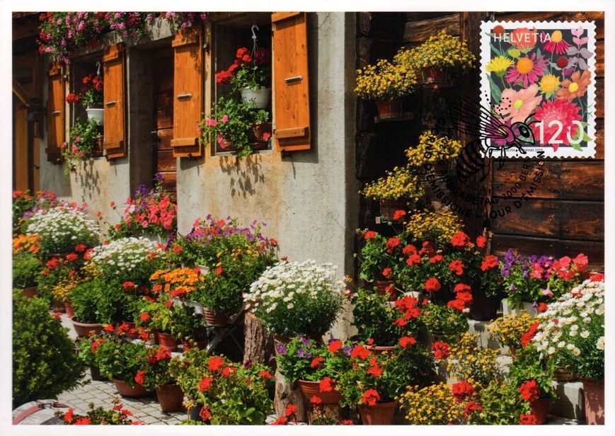 Maximumkarte Sommerblumen (Neu (gemäss Beschreibung)) in Dottikon für CHF 4 – mit Lieferung auf ...