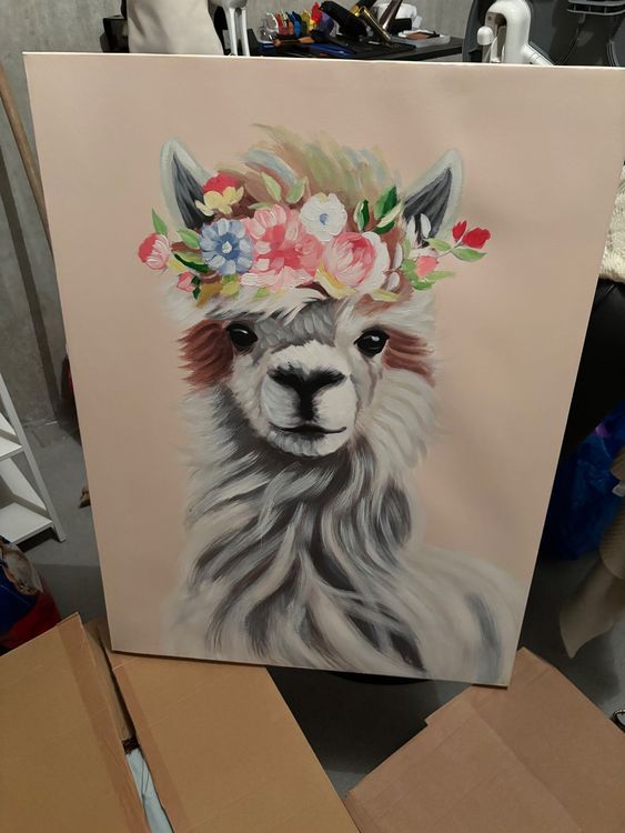 Bild Lama (Gebraucht) in Berg TG für CHF 25 – nur Abholung auf Ricardo ...