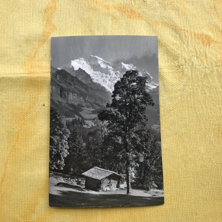 ANSICHTSKARTE BEI WENGEN | Kaufen auf Ricardo