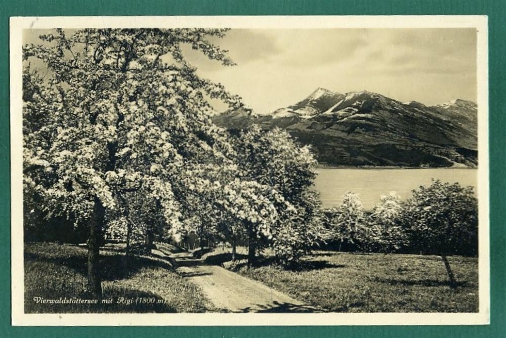 Vierwaldstättersee mit Rigi (Gebraucht) in Sargans für CHF 1 – mit Lieferung auf Ricardo kaufen