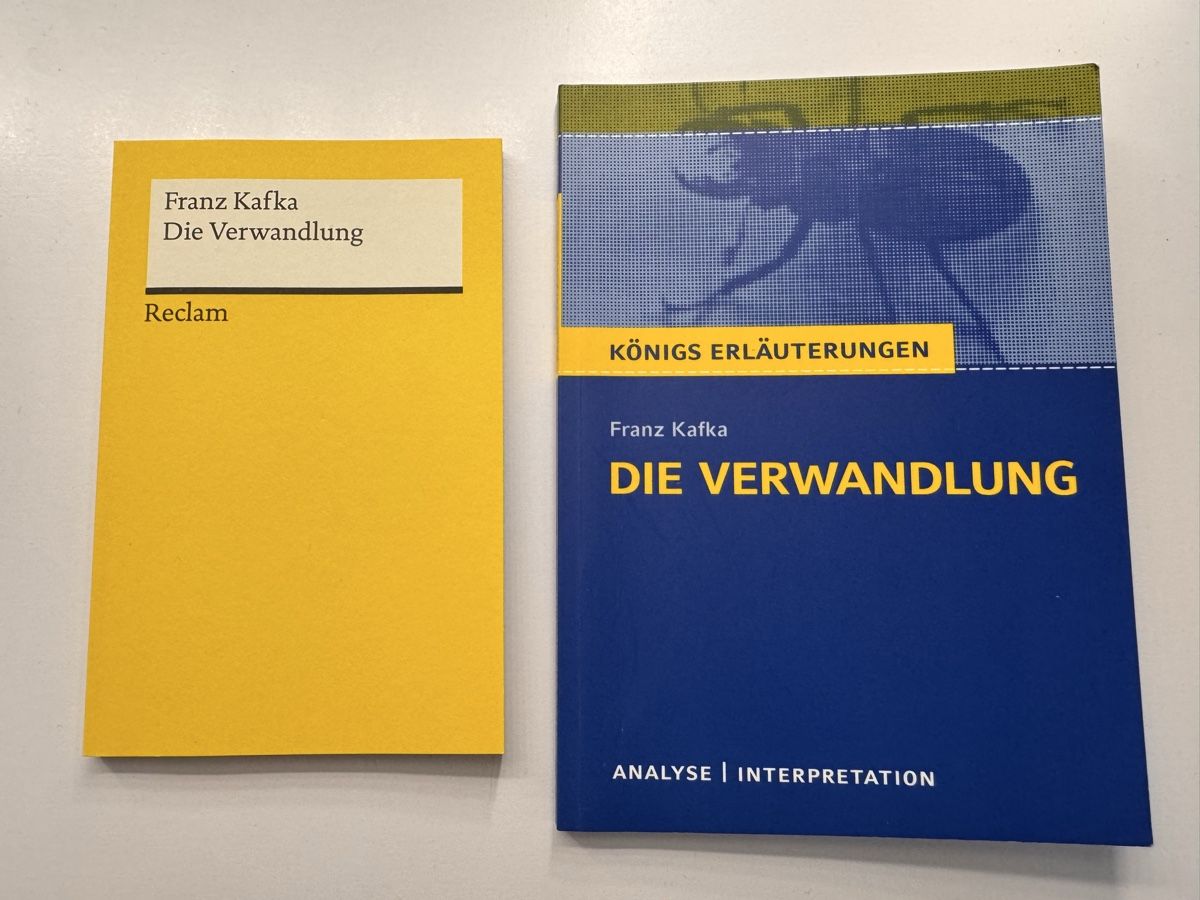 Franz Kafka, Die Verwandlung, Reclam & Königs Erläuterung! (Neu (gemäss Beschreibung)) in ...