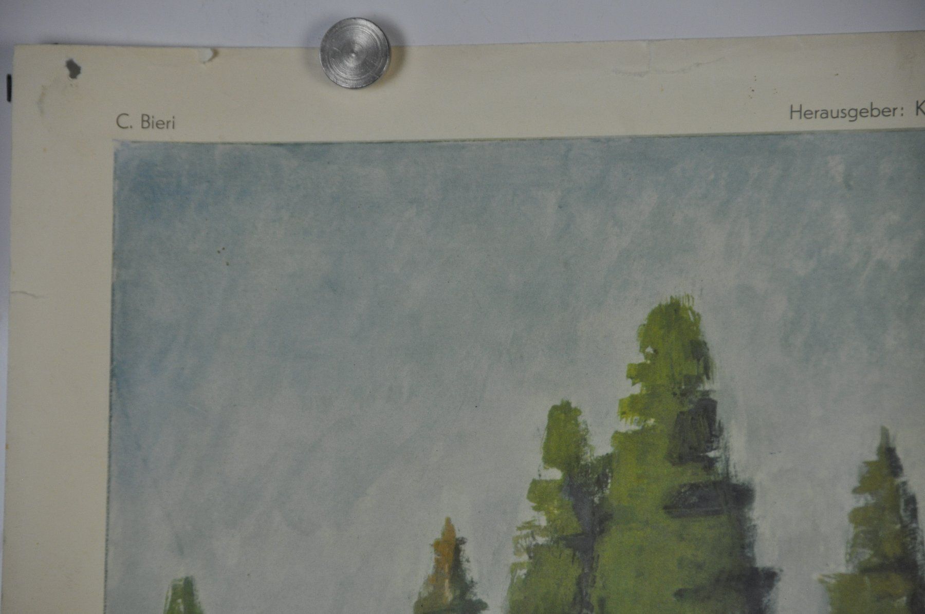 Schulwandbild Pferdeweide (Landschaft der Freiberge) Carl Bi (Gebraucht ...