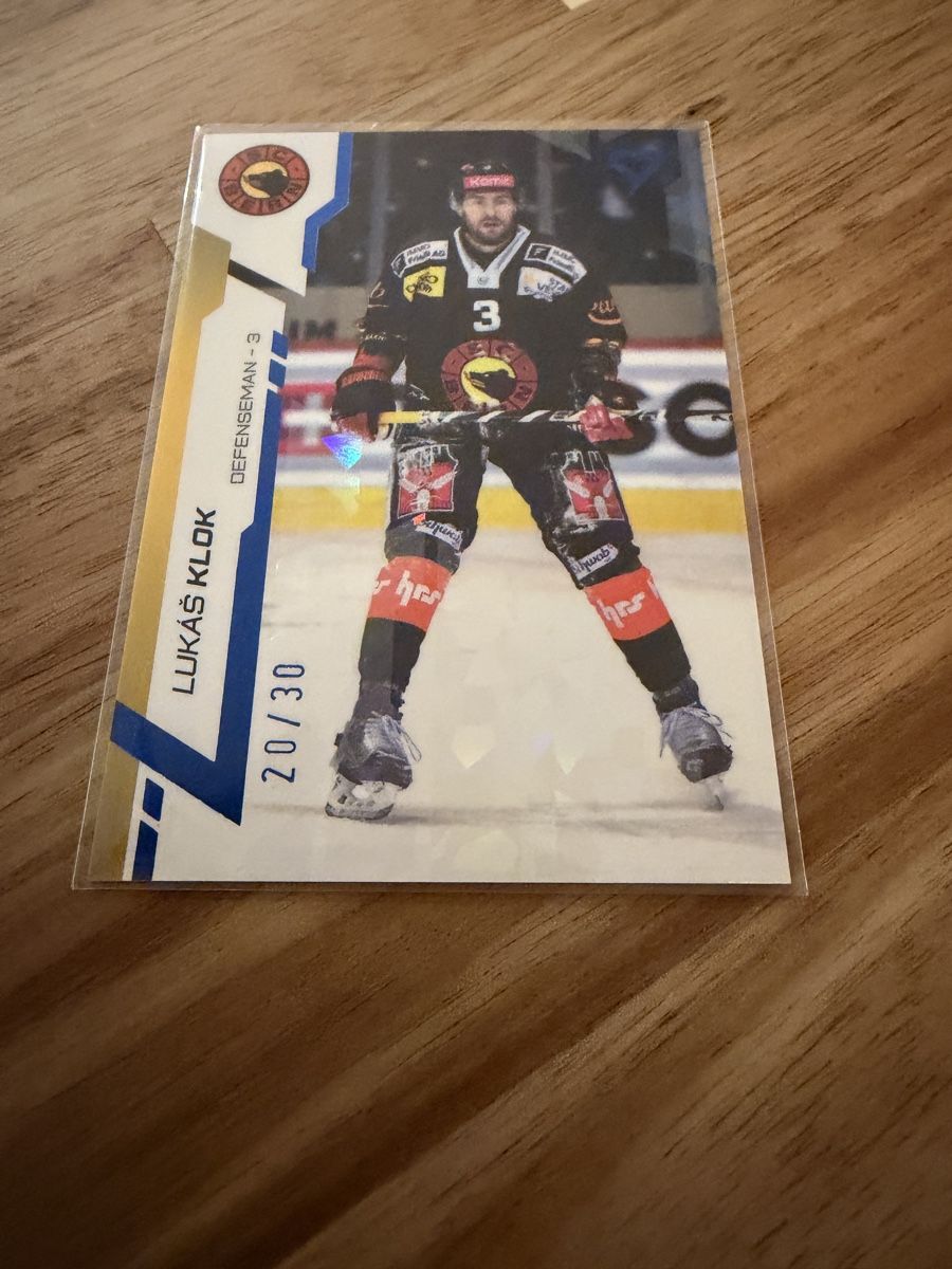 Lukas Klok SC Bern Sportzoo 2024/25 blue 20/30 (Neu (gemäss ...