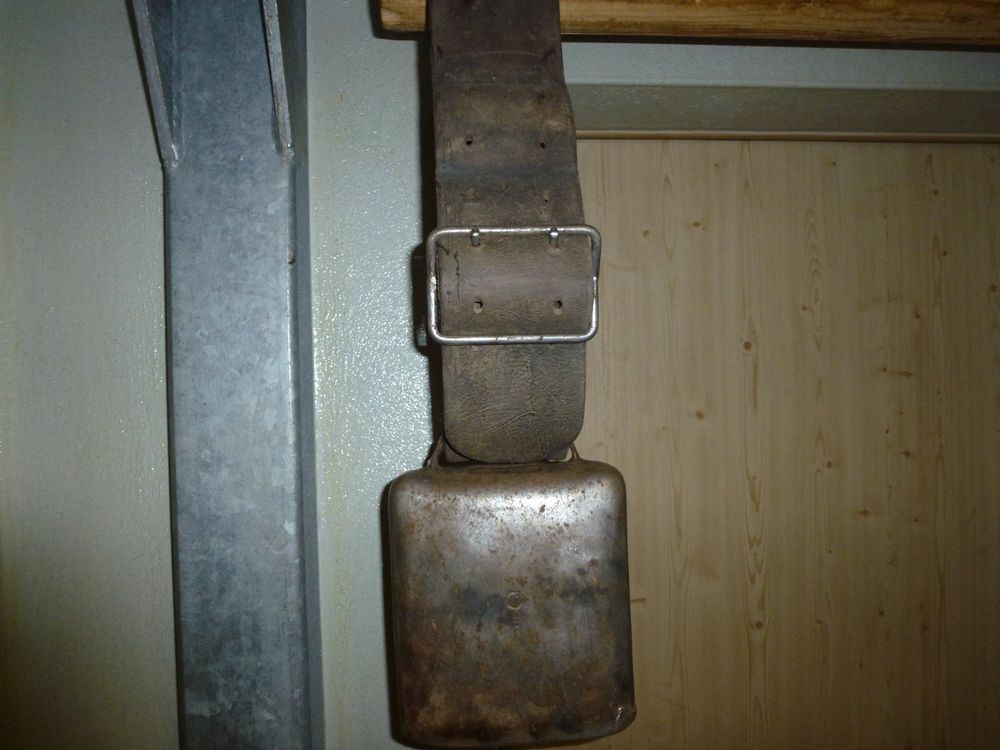 Treichel | Kaufen auf Ricardo