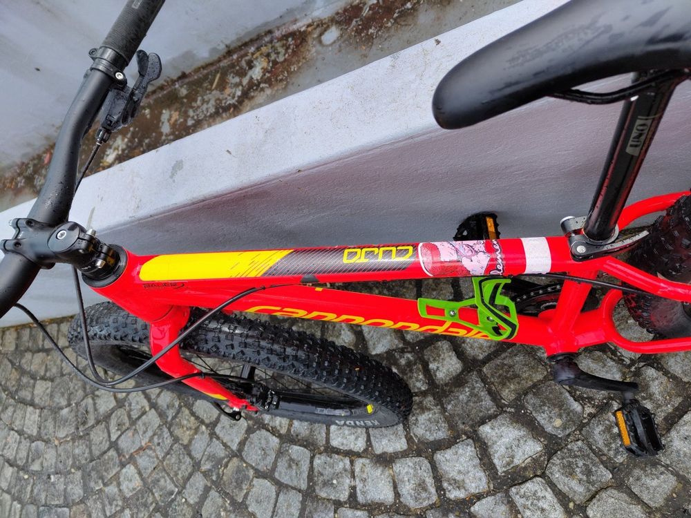 Cannondale Kinder MTB 24 Zoll Cujo Jg. 2020 Gebraucht (Gebraucht) in ...